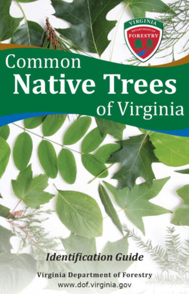 Virginia Trees | N.C. Tree Farm Program, Inc.