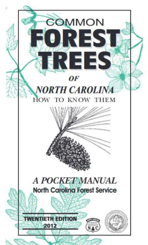 common forest trees | N.C. Tree Farm Program, Inc.