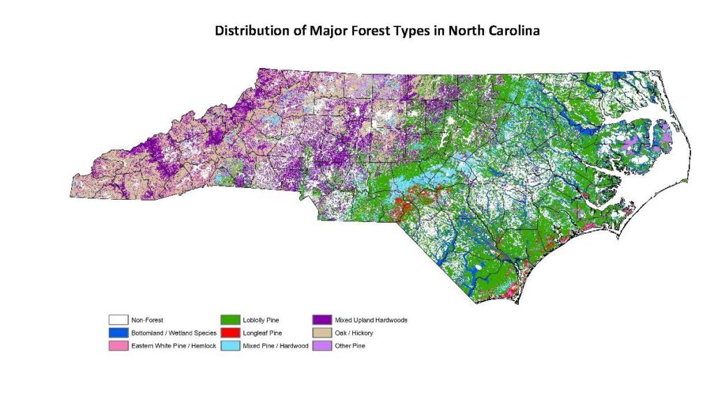 nc forest types | N.C. Tree Farm Program, Inc.
